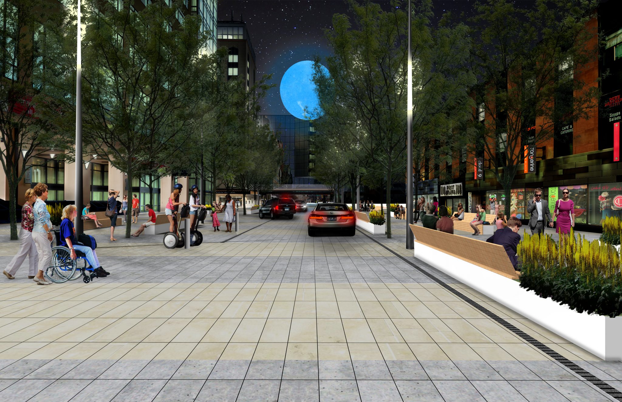 Rochester Destination Medical Center Map